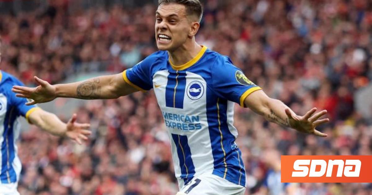 H Μπράιτον σε μια σεζόν έβγαλε 137 εκ. από πωλήσεις! | SDNA